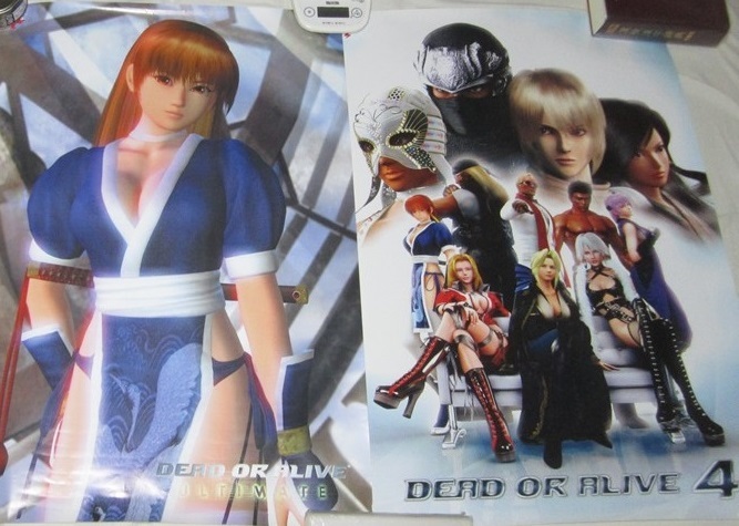 2枚 DEAD OR ALIVE ポスター 霞 かすみ DOA4 DOA ultimate 非売品 B2規格 デッド オア アライブ(その他)｜売買されたオークション情報、yahooの商品情報 ...