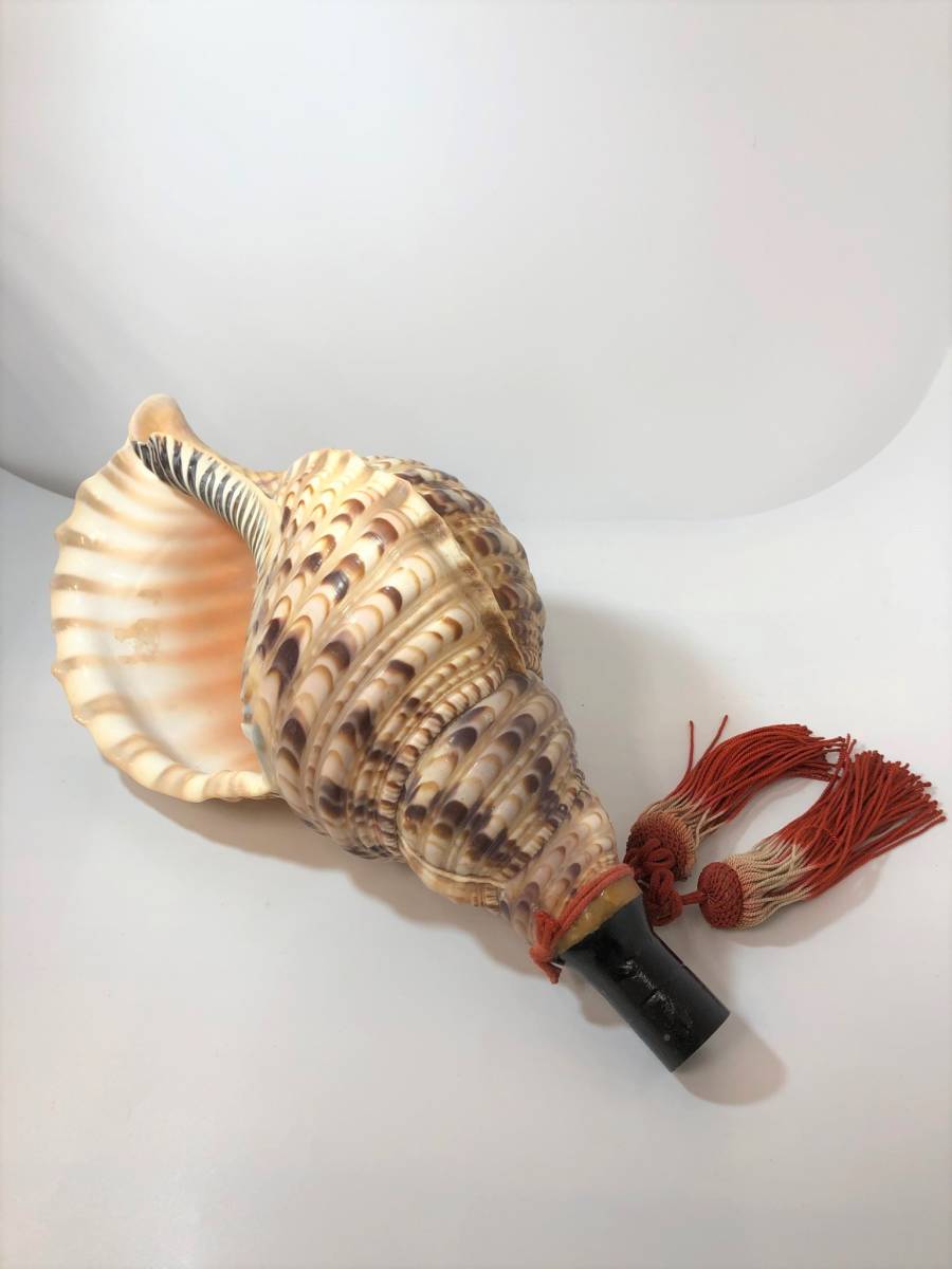 3570A 時代 古い 法螺貝 ほら貝 和楽器 山伏 修験道 神具 全長約32cm 口金付(和楽器)｜売買されたオークション情報、yahooの ...