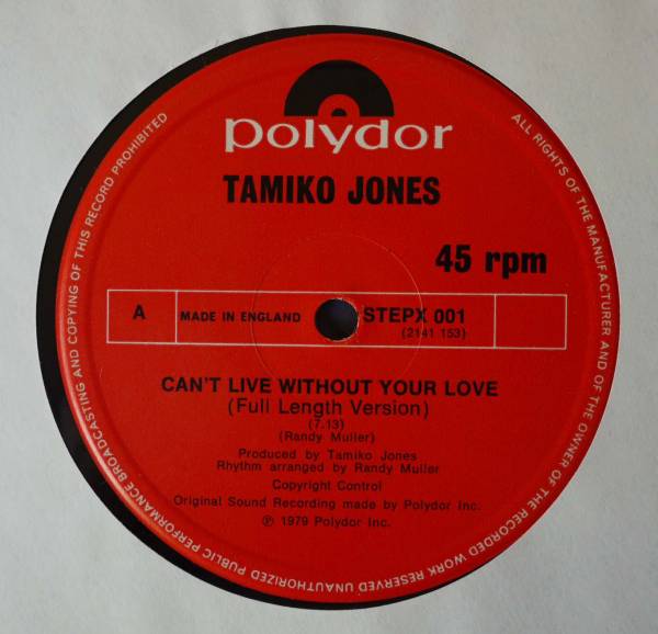 美12'' TAMIKO JONES/CAN'T LIVE WITHOUT YOUR LOVE(ディスコ)｜売買されたオークション情報 ...