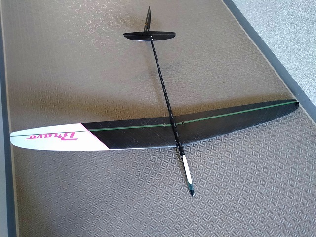 Snipe スナイプ DLG カバー付属 F3K ハンドランチグライダー SN SAL - valie.sports.coocan.jp