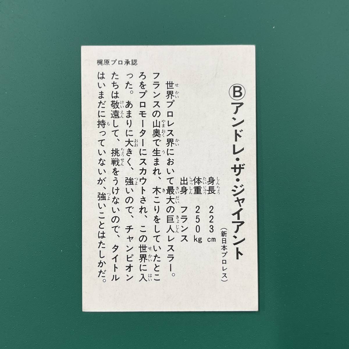 1397382 ポピー製 アンドレ ザ ジャイアント 新日本プロレス スーパープロレスラーシリーズ カードのみ 梶原プロ承認(格闘技、プロレス ...