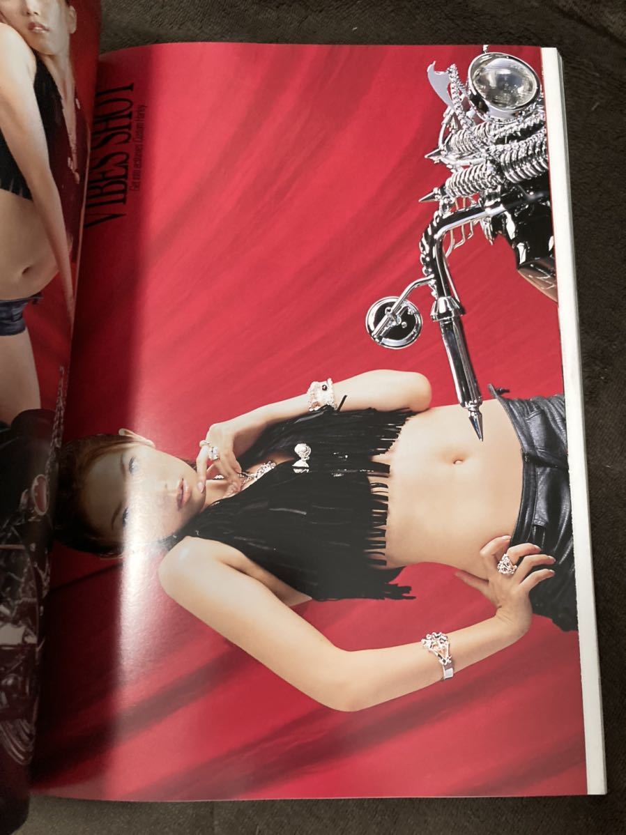 T87-15/バイブズ VIBES 2008年11月 表紙/小川あさ美 バイカー四半世紀 最新ヘルメットコレクション ハーレーダビッドソン105周年祭(バイク一般)｜売買されたオークション情報 ...