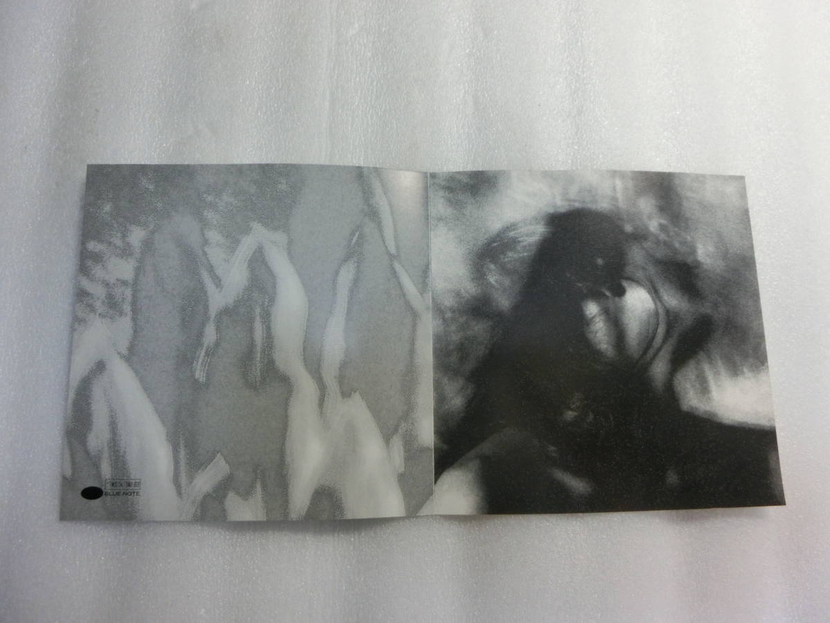 CD ヌードジャケ / Tony Williams / Native Heart Blue Note トニー ウィリアムス / Wallace ...