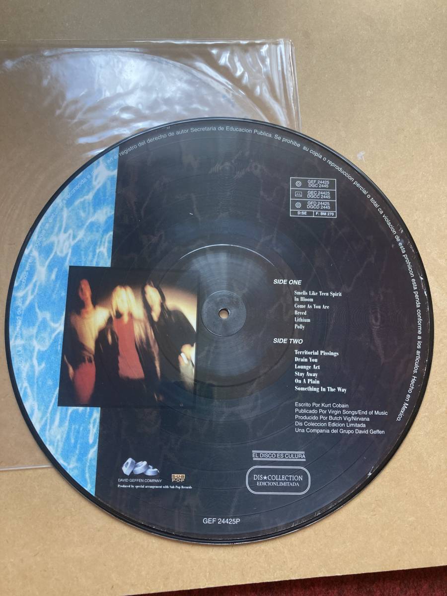 ピクチャー盤 NIRVANA ニルヴァーナ / NEVERMIND PICTURE DISC(Nirvana)｜売買されたオークション情報 ...