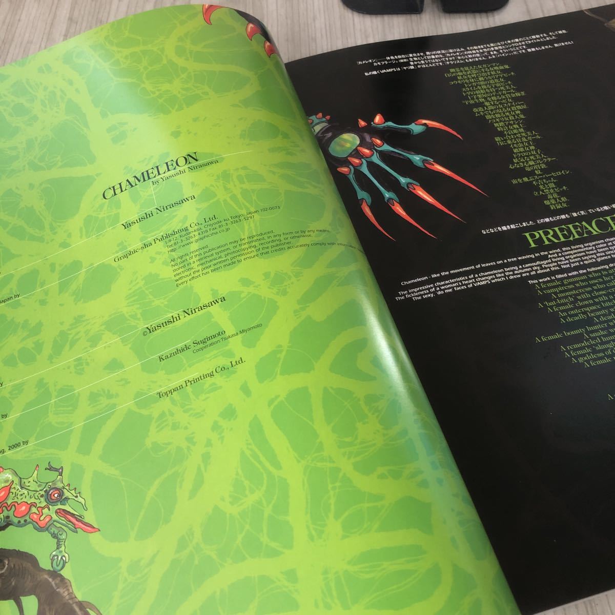 カメレオン 韮沢靖作品集 CHAMELEON 韮沢靖 Yasushi Nirasawa 2000年 初版 株式会社グラフィック社 エロトピア ...
