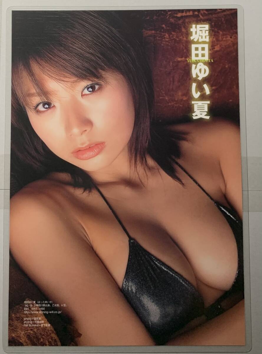 厚手ラミネート加工 堀田ゆい夏 水着 A4雑誌切り抜き 5ページ BLTミラクル4 グラビア -F17(タレント)｜売買されたオークション情報、yahooの商品情報をアーカイブ公開 ...