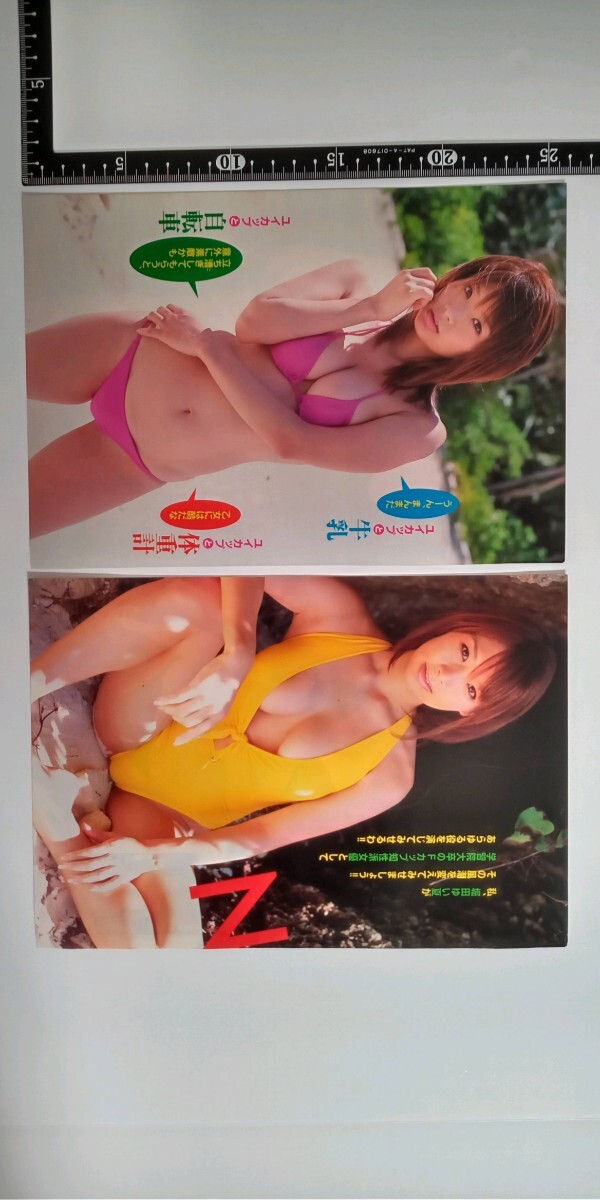 堀田ゆい夏 11ページ 切り抜き 水着 1105(タレント)｜売買されたオークション情報、yahooの商品情報をアーカイブ公開 - オークファン（aucfan.com）