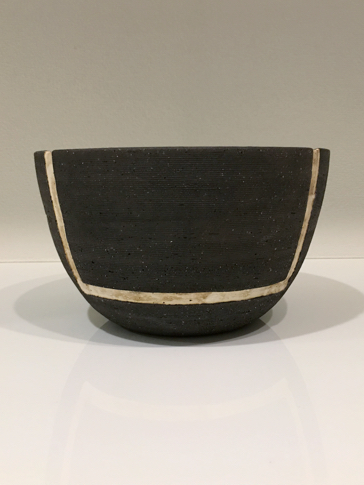 invisible ink. Bowl Pot var.aneaken パキポディウム パキプス コーデックス グラキリス(鉢)｜売買された ...