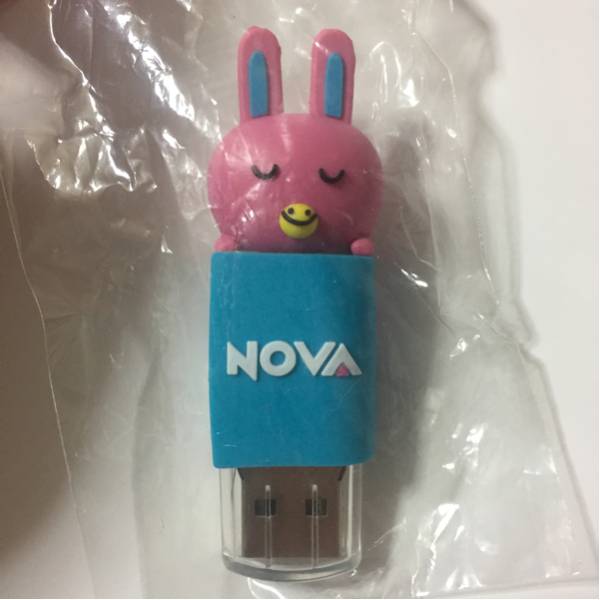 NOVAうさぎ USBメモリ 2GB ノバウサギ nova usagi(2GB)｜売買されたオークション情報、yahooの商品情報をアーカイブ ...