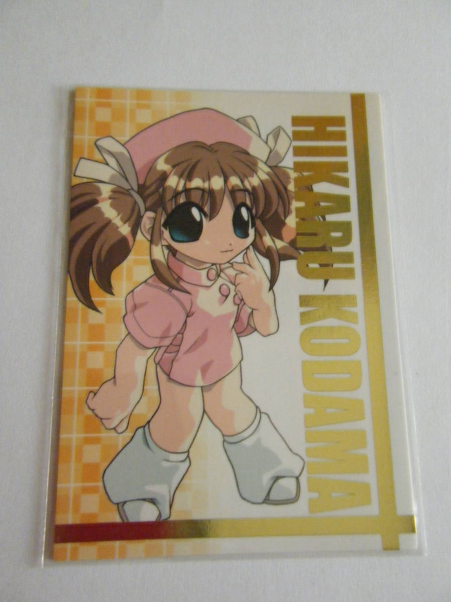 夜勤病棟 R08 HIKARU KODAMA MINK CARD COLLECTION MINK1999 トレーデイング カード ...