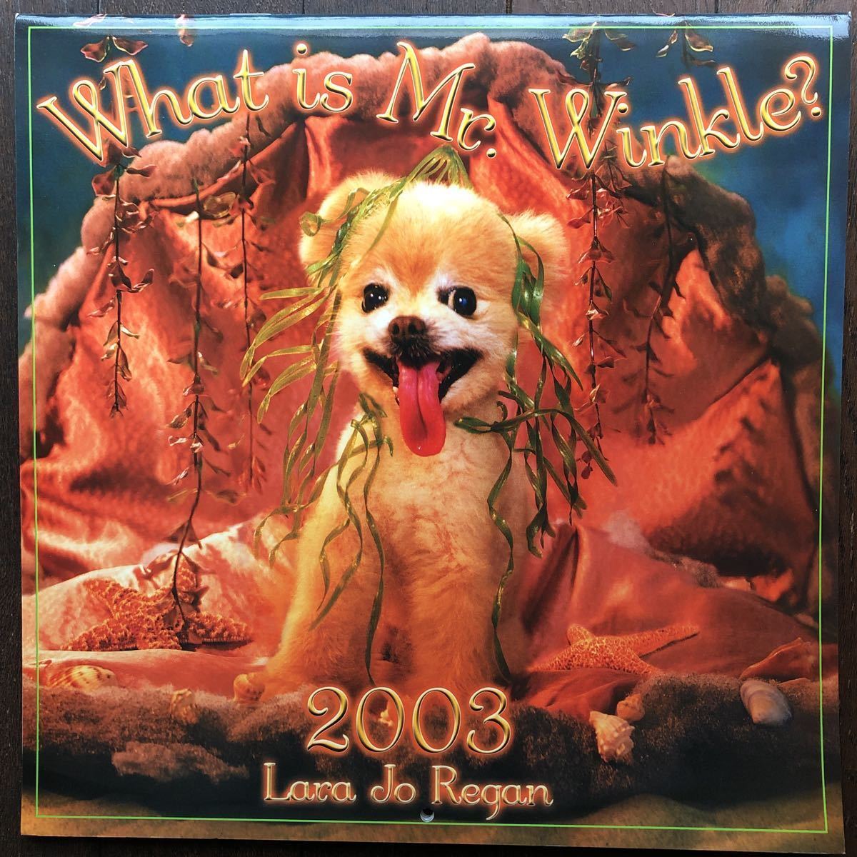 2003年カレンダー What is Mr. Winkle 可愛い過ぎる癒し犬ウィンクル 書込みなし 品(動物)｜売買されたオークション情報 ...