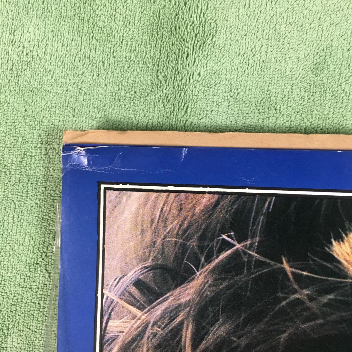 Duran Duran デュランデュラン 1984年 Sing Blue Silver ツアー 日本公演パンフレット(パンフレット)｜売買され ...