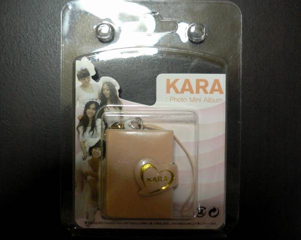 KARA フォトミニアルバム FCオフィシャルグッズ/ /(写真)｜売買されたオークション情報、yahooの商品情報をアーカイブ公開 ...