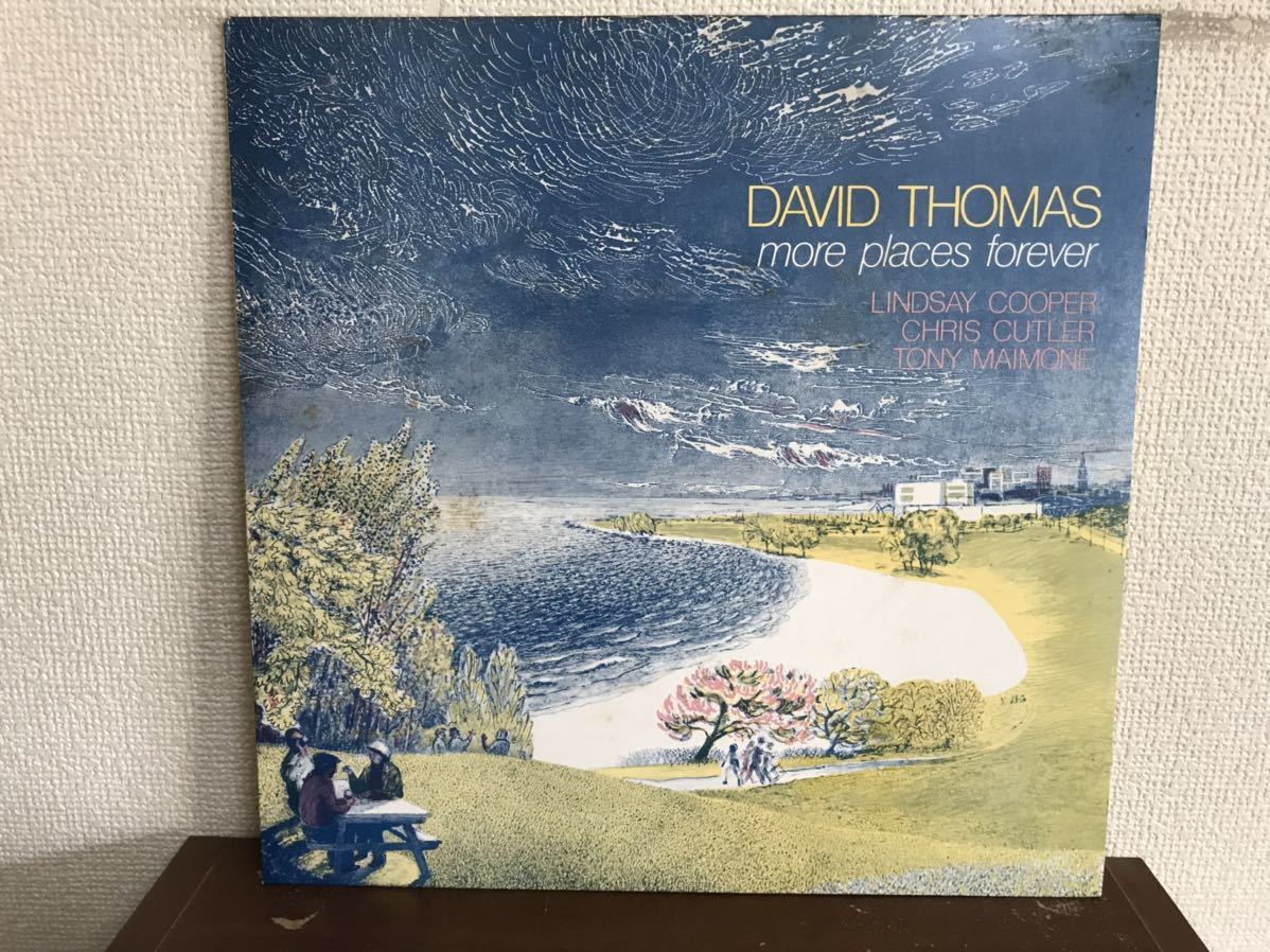 DAVID THOMAS MORE PLACES FOREVER UK盤 LP レコード LINDSAY COOPER CHRIS ...