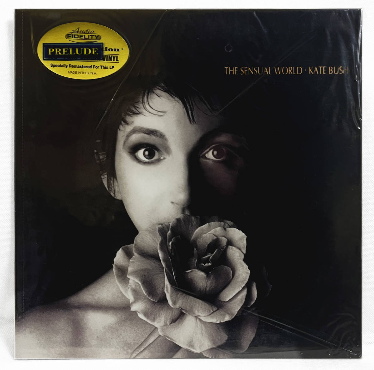 LP高音質180g重量盤 Audio Fidelity KATE BUSH sensual world ケイト ブッシュ Steve ...