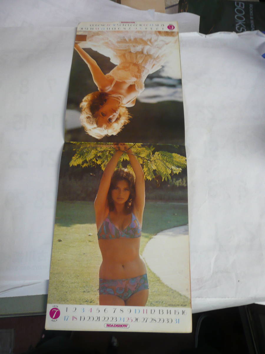 昭和レトロ STAR CALENDAR 1976 ALAIN DELON/SYLVIA KRISTEL/OLIVIA HUSSEY/ROBERT REDFORD/STEVE McQUEEN ...