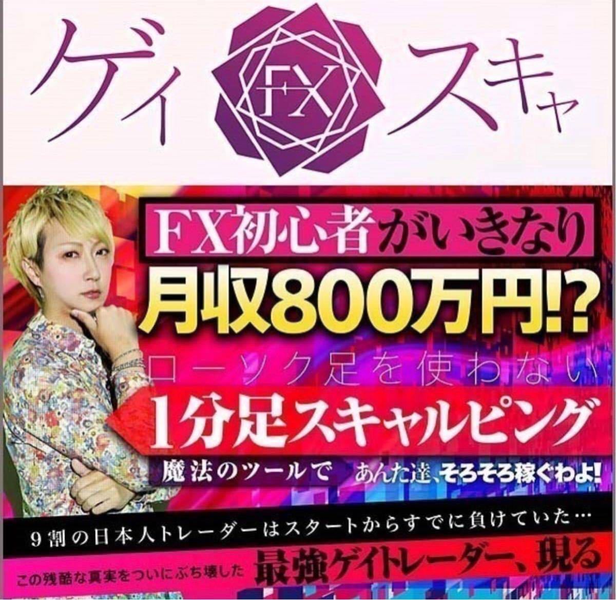 ゲイスキャFXフルセット 各種 動画/PDF/ツール(株式、先物、金利、ローン)｜売買されたオークション情報、yahooの商品情報をアーカイブ公開 - オークファン（aucfan.com）