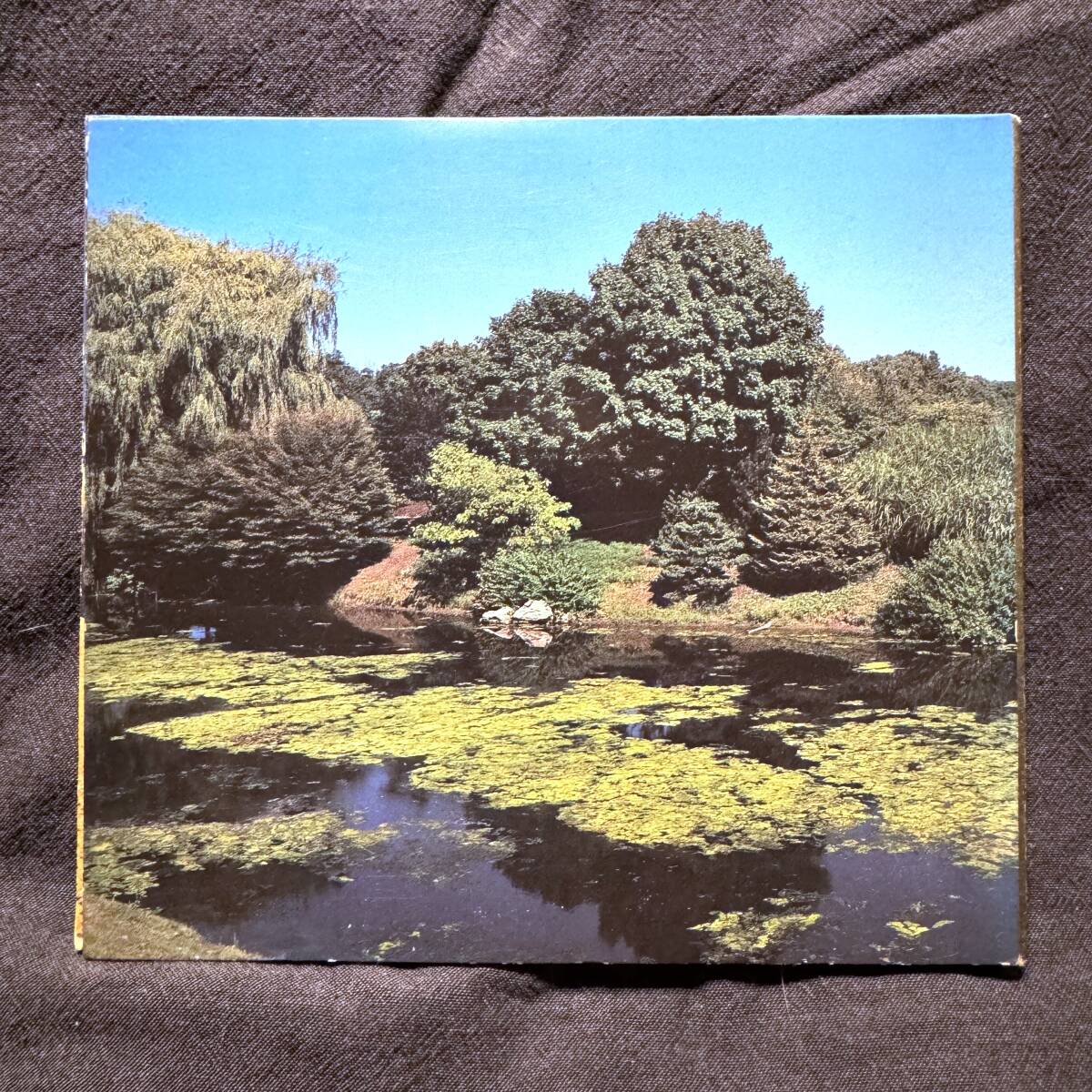 SHELLAC シェラック TERRAFORM / steve albini touch & go Chesly Bonestell(S)｜売買されたオークション情報、yahooの商品情報を ...