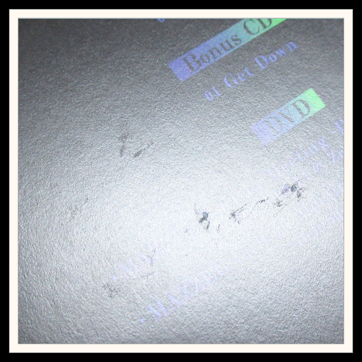 CD MAZZEL/Carnival MUZEUM限定盤 DVD付/ファンクラブ限定盤 MAZZEL DEBUT SHOWCASE“Vivid ...