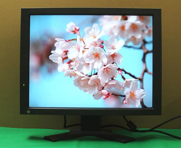 EIZO RadiForce R31 20.8型医療用高精細モニター/累積10483時間(21インチ～)｜売買されたオークション情報 ...