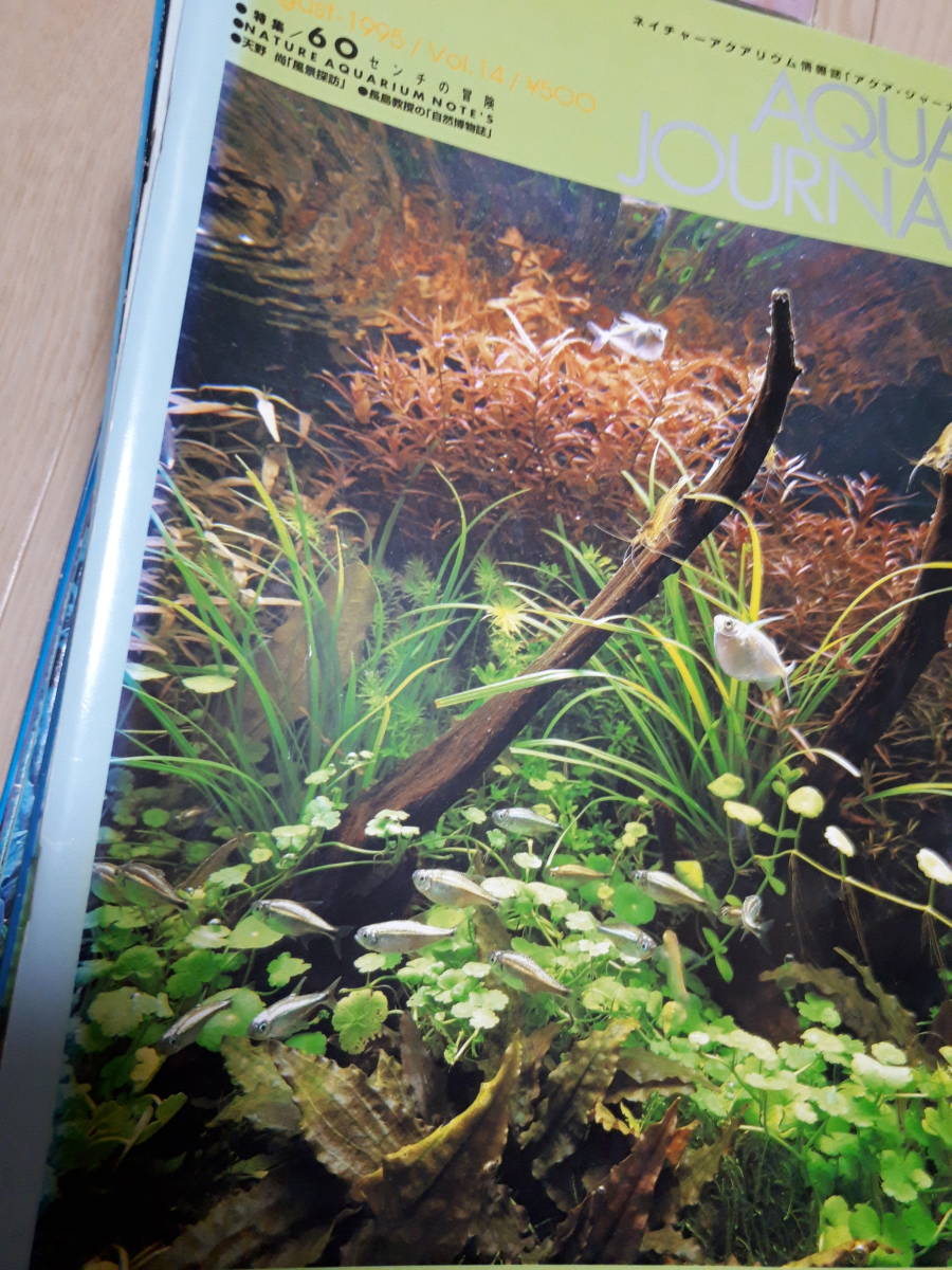 012 アクアジャーナルAQUAJOURNAL1995年-1999年26冊セット(ペット、動物)｜売買されたオークション情報、yahooの商品情報をアーカイブ公開 - オークファン ...