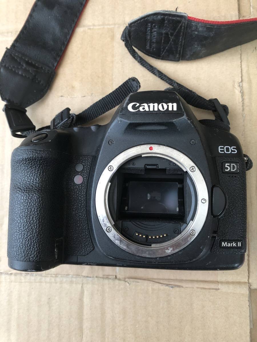 キャノン Canon 5d mark II マーク 2 ボディ(キヤノン)｜売買されたオークション情報、yahooの商品情報をアーカイブ公開 - オークファン（aucfan.com）