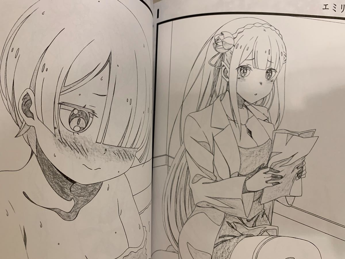 コミケ C97 Decisive Project ぃさいしぶ 新刊 リゼロ レム アニメーターイラスト集 ゼロから始める異世界生活 冬コミ(イラスト集、原画集)｜売買されたオークション情報 ...