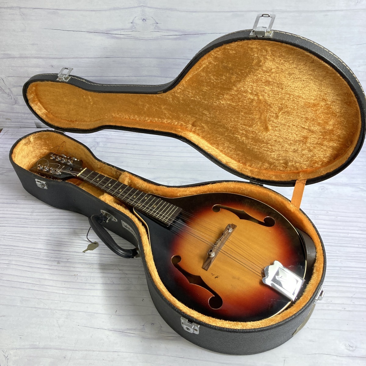 gagar マンドリン 弦楽器 ハードケース付 型式不明 f001(マンドリン)｜売買されたオークション情報、yahooの商品情報をアーカイブ ...