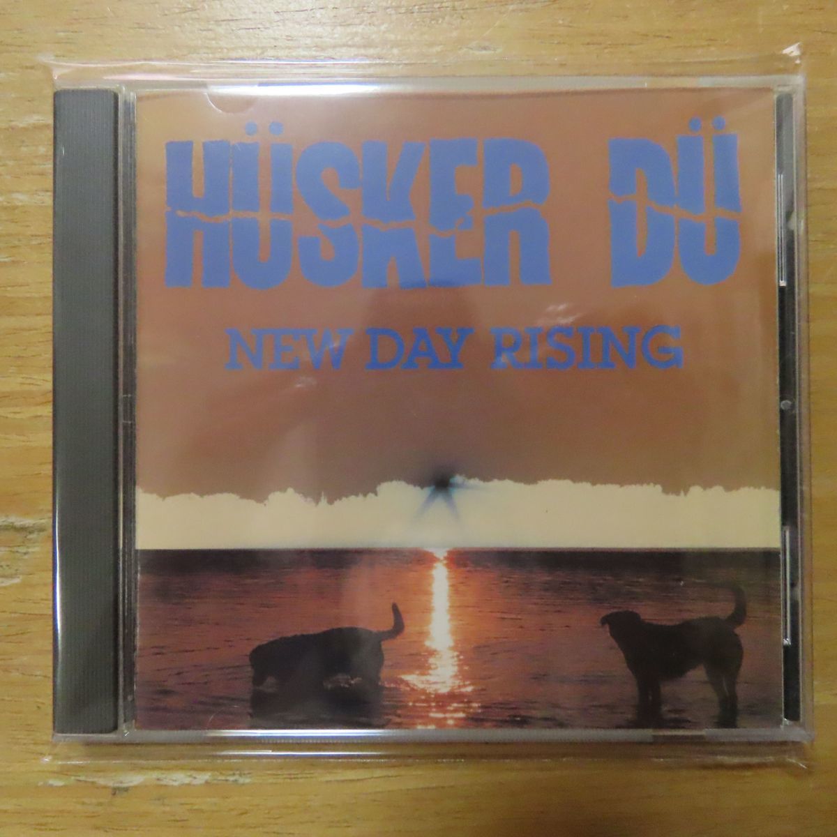 018861003122; CD ハスカー ドゥ / New Day Rising(ロック、ポップス（洋楽）)｜売買されたオークション情報 ...