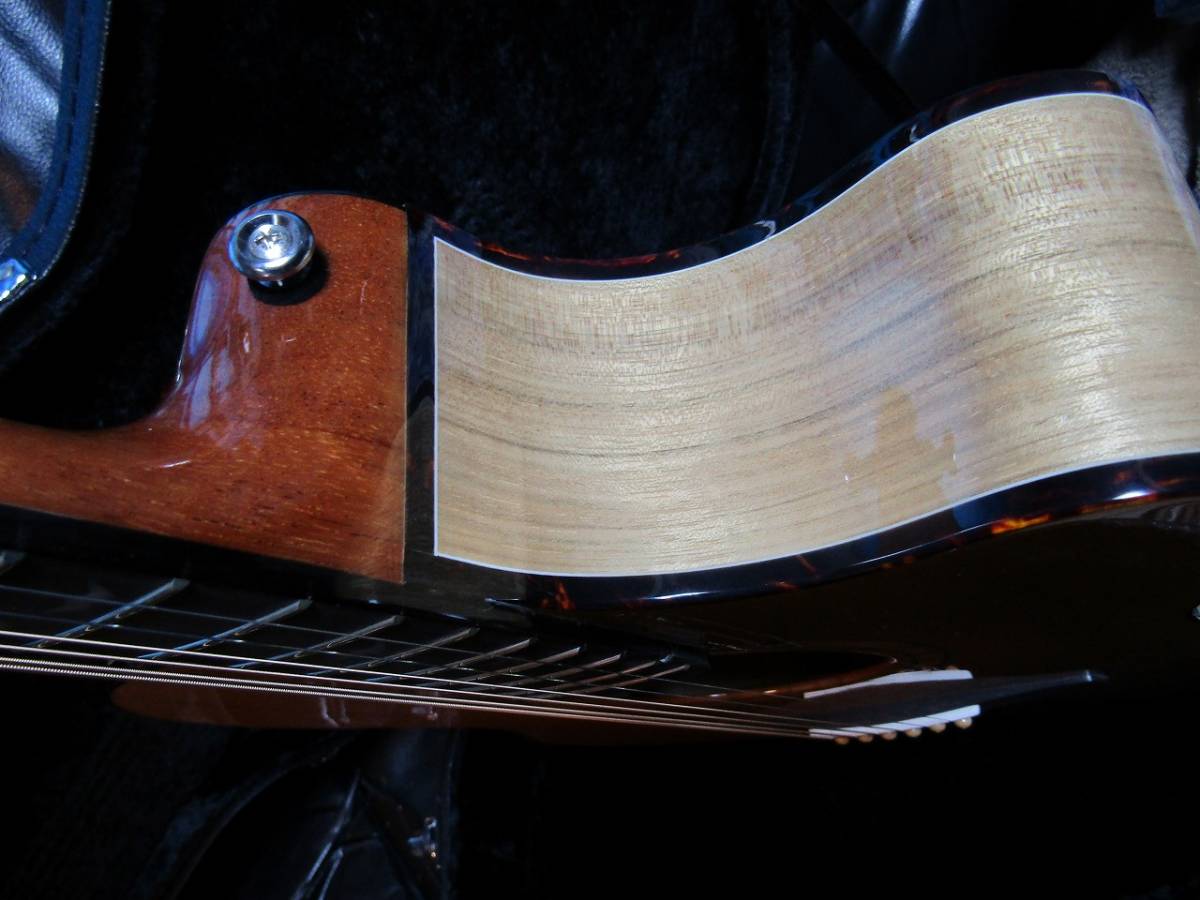 PRS SE Angelus Model:A15AL-Alex Lifeson Thinline 2015年製 同様 エレアコ 純正ハード ...