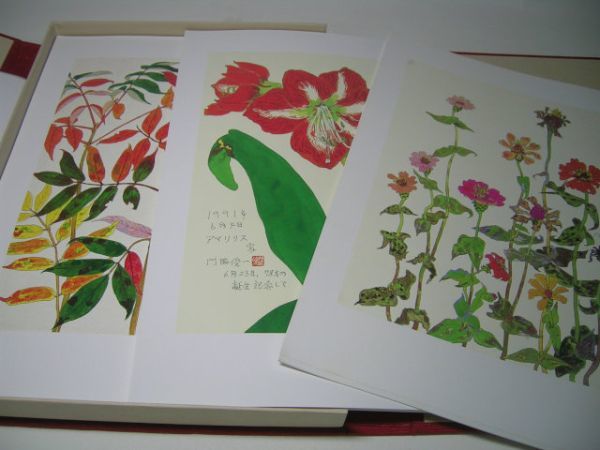 SK009 草花百点 門脇俊一 図版 全100枚揃(画集)｜売買されたオークション情報、yahooの商品情報をアーカイブ公開 - オークファン（aucfan.com）