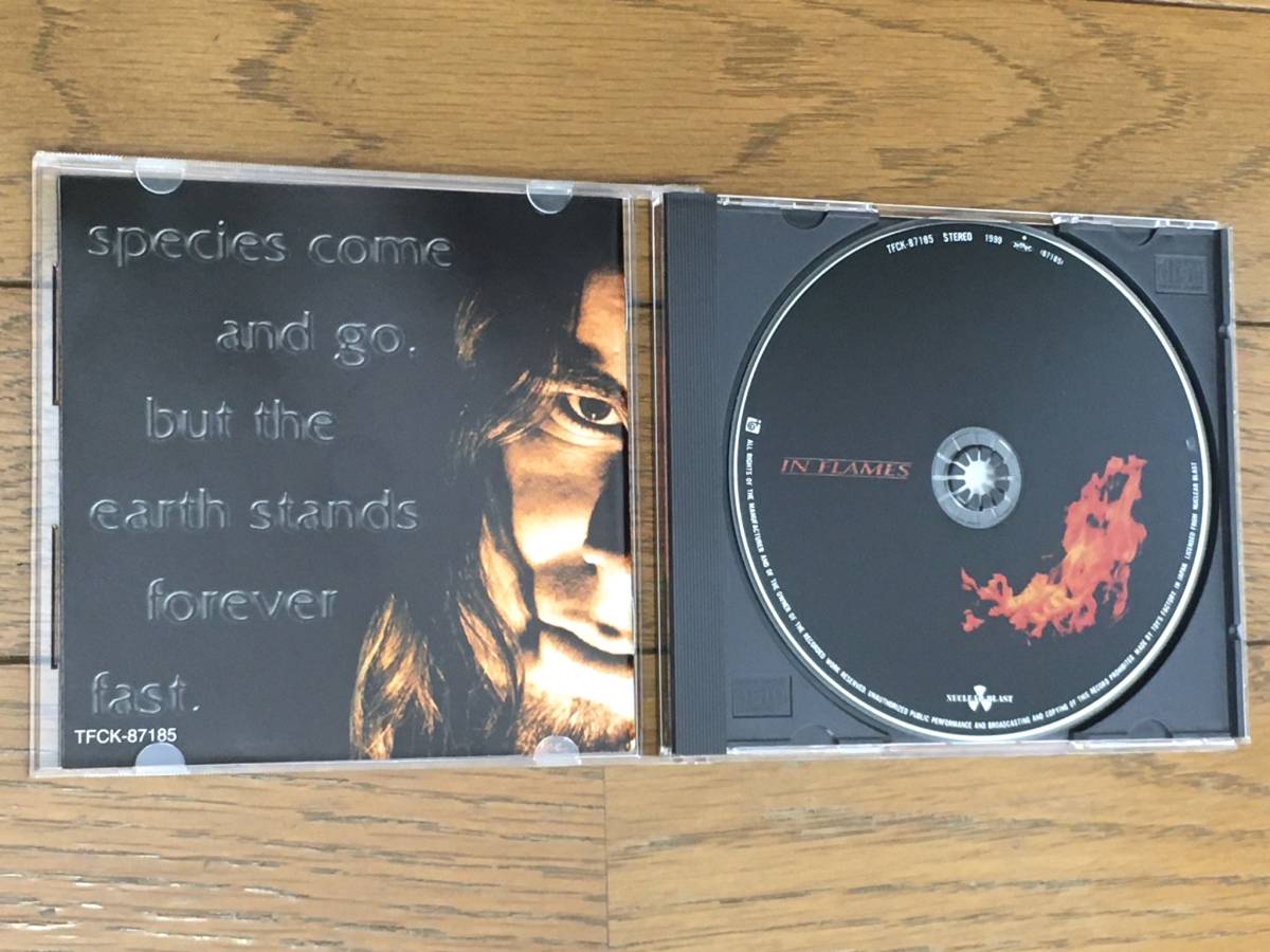 IN FLAMES / Colony メロディック デスメタル 名盤 国内盤13曲収録 品番TFCK-87185 廃盤CD Dark Tranquillity Dimension Zero ...