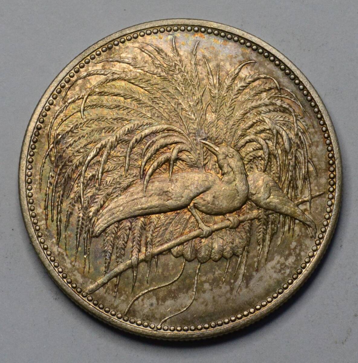 40 銀貨 ドイツ銀貨 1894年 27.88g 銀900 保証(ヨーロッパ)｜売買されたオークション情報、yahooの商品情報をアーカイブ ...