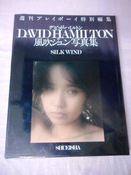 風吹ジュン写真集 SILK WIND デビット ハミルトン撮 稀少R34(全巻セット)｜売買されたオークション情報、yahooの商品情報をアーカイブ公開 - オークファン（aucfan.com）