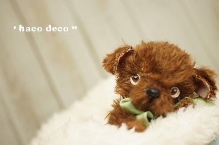 haco deco チョコレートパピー 犬 仔犬 ハンドメイド dog puppy(体長10cm - 30cm)｜売買されたオークション情報、yahooの商品情報をアーカイブ公開 ...