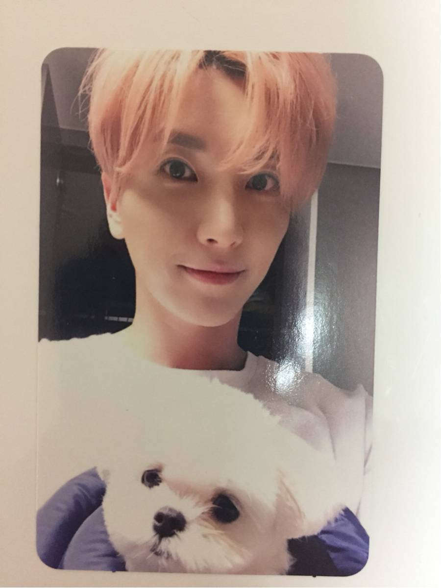 イトゥク SUPER JUNIOR 8集 PLAY トレカ One More Chance ver.(ミュージシャン)｜売買されたオークション情報、yahooの商品情報をアーカイブ公開 ...