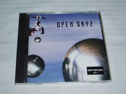 レア盤 メロディアス メロハー Open Skyz / Open Skyz Cut Out盤 Hugo参加作品(一般)｜売買されたオークション ...