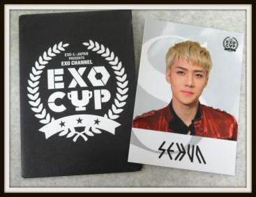 EXO FC限定トレカ セフン EXO-L JAPAN EXO CHANNEL EXO CUP ファンミ ペンミ 01(その他)｜売買されたオークション情報、yahooの商品情報をアーカイブ ...