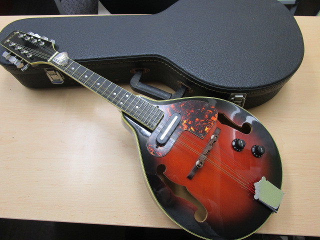 SAMICK サミック エレキ マンドリン SM20E 鍵付き ハードケース ジャンク(マンドリン)｜売買されたオークション情報、yahooの商品情報をアーカイブ公開 - オークファン ...
