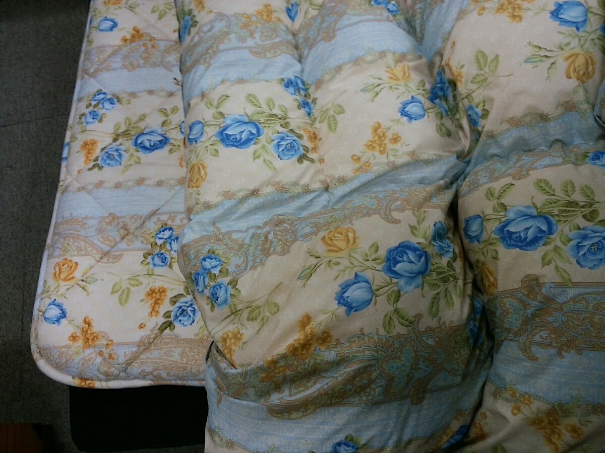 g_t e113 西川リビング 羽毛布団セット マットレス付き 綺麗(その他)｜売買されたオークション情報、yahooの商品情報をアーカイブ公開 - オークファン（aucfan.com）