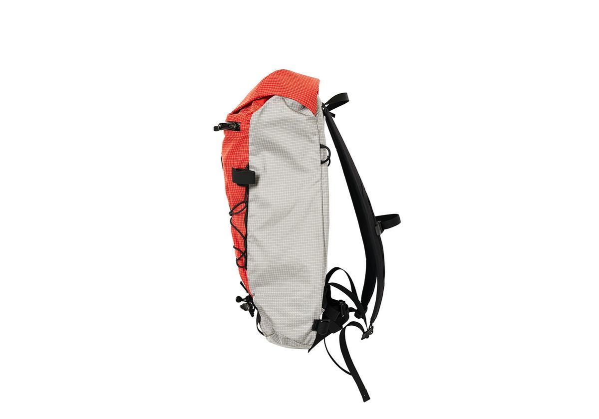 激レア PALACE SKATEBOARDS ARC'TERYX ALPHA AR20 バックパック パレス アークテリクス スケート(アーク ...