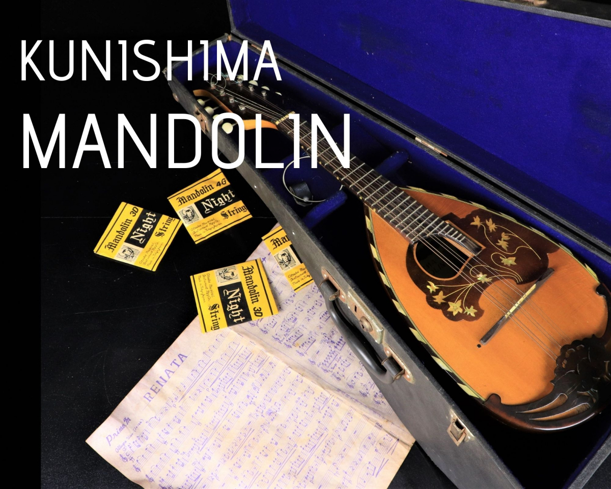 KUNISHIMA MANDOLIN No.107 国島 マンドリン ハードケース付き FN000FAY89(マンドリン)｜売買されたオークション情報、yahooの商品情報をアーカイブ公開 ...