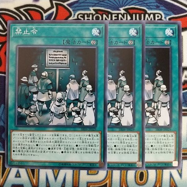 z2597 遊戯王 禁止令 3枚 ノーマル SR06 ③(遊戯王（コナミ）)｜売買されたオークション情報、yahooの商品情報をアーカイブ公開 - オークファン（aucfan.com）