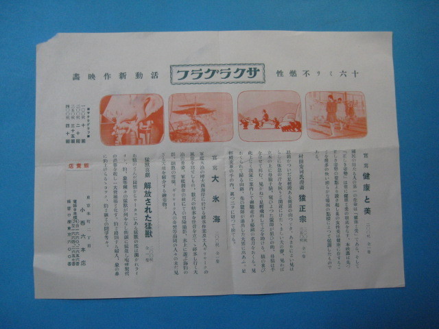 ba3210戦前チラシ サクラグラフ 16ミリ不燃性 活動新作映画 実写健康と美 解放された猛獣 東京本町 小西六本店(その他)｜売買された ...