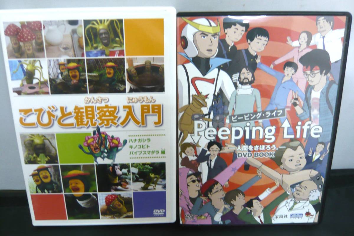 i158-31 DVD アニメ 8本 セット ウサビッチ こびと観察入門 GOLDEN EGGS ピーピング ライフ グレムリン おしりかじり虫(海外)｜売買されたオークション情報、yahoo ...