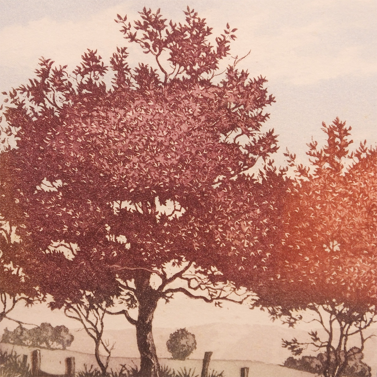 1円 おたからや xm39 作家不詳 風景画 銅版画(銅版画、エッチング)｜売買されたオークション情報、yahooの商品情報をアーカイブ公開 ...