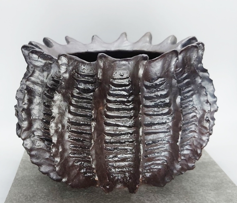 HAKIJO STUDIOS Sputnik Vault pot 鉢 大鉢 ポット earnest hearts BOTANIZE raw ...