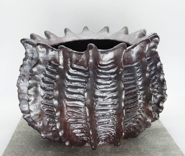 HAKIJO STUDIOS Sputnik Vault pot 鉢 大鉢 ポット earnest hearts BOTANIZE raw ...
