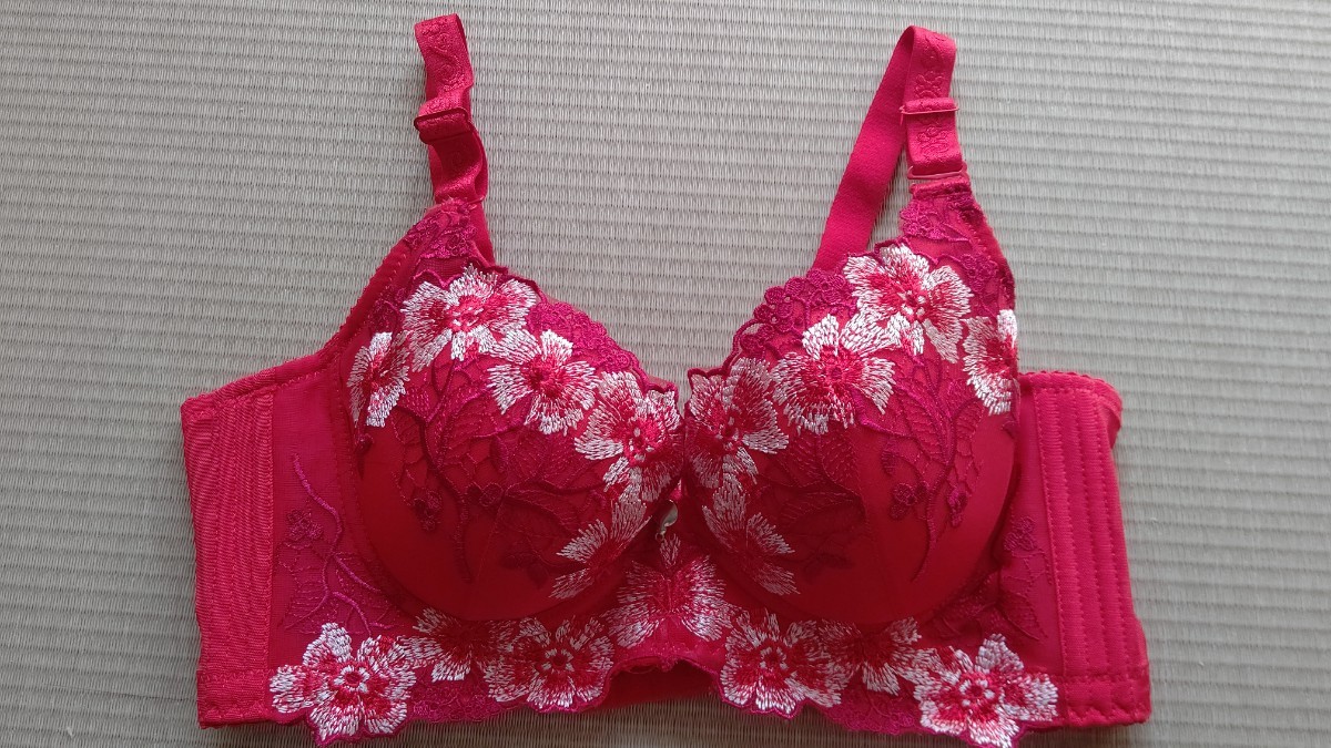 ブラジャー 赤 E75 レッド(Eカップ以上)｜売買されたオークション情報、yahooの商品情報をアーカイブ公開 - オークファン（aucfan.com）