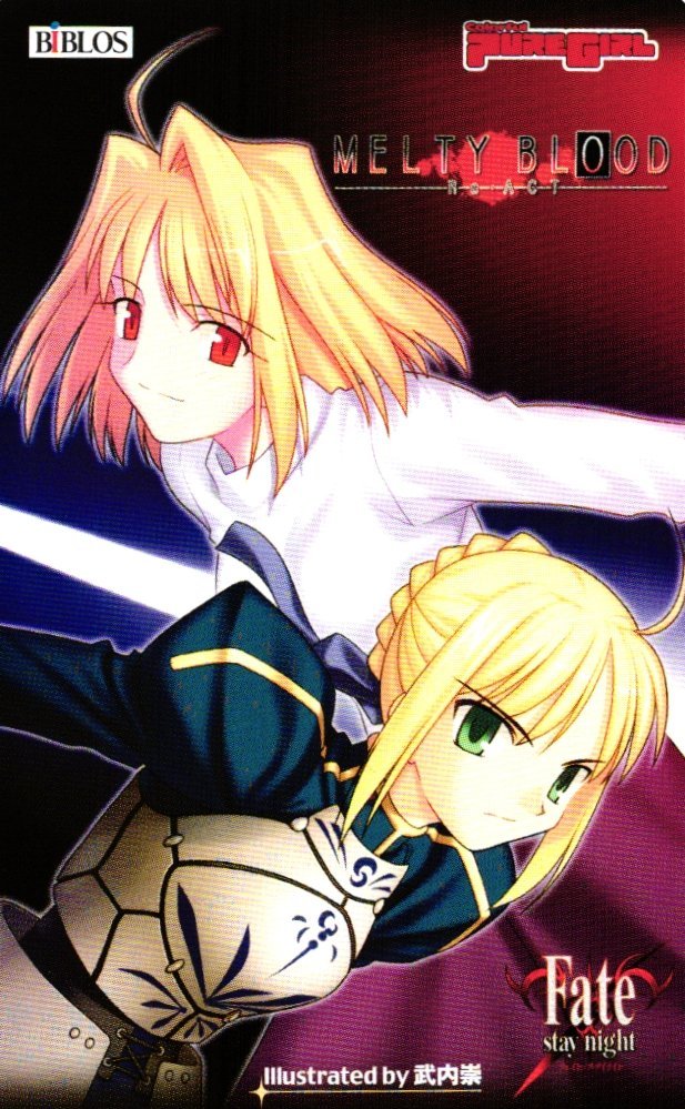 Fate/stay night/MELTY BLOOD 武内崇 TYPE-MOON Colorful PUREGIRL テレカ50度数 lg ...